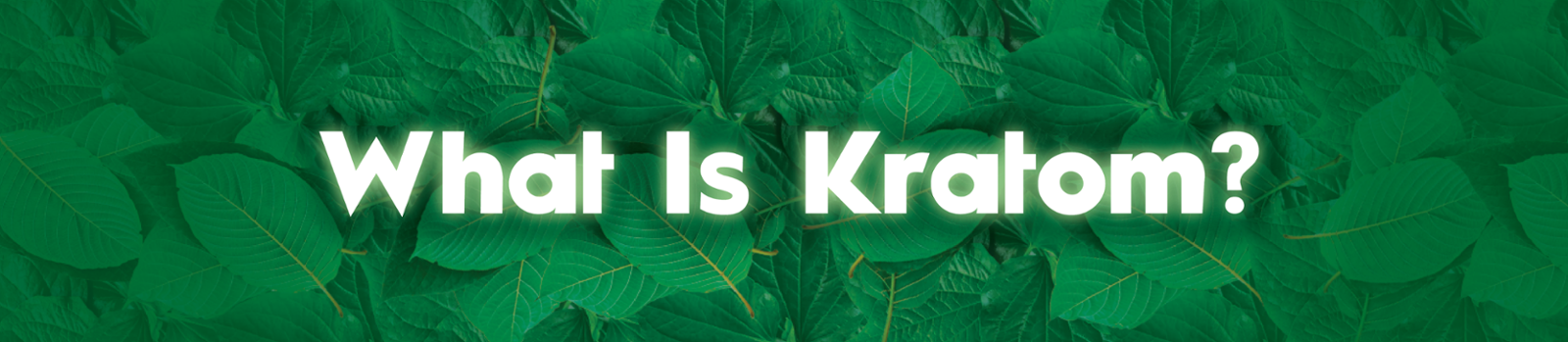 Learn More | MIT Therapy